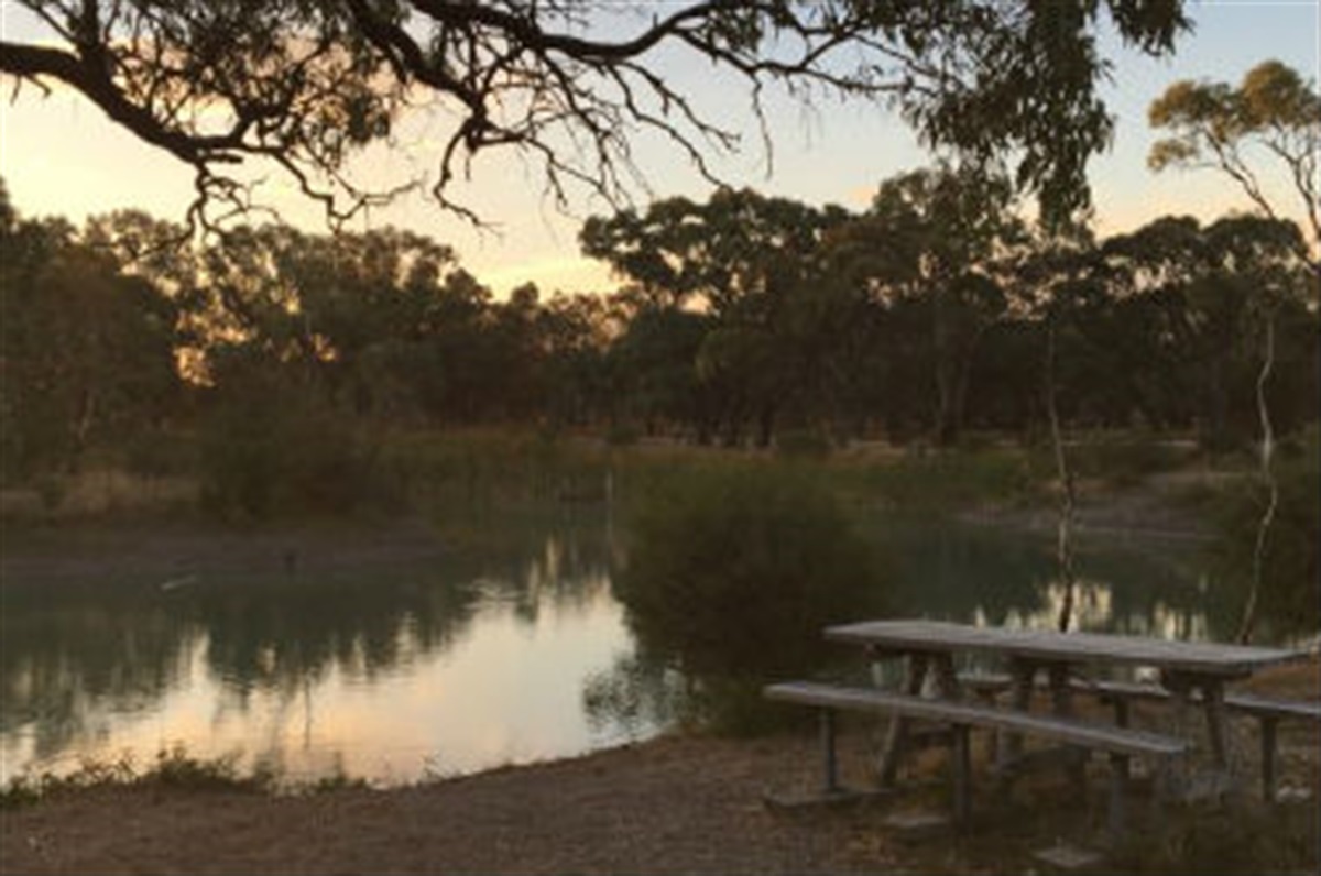 Police Paddock motorbike damage - Horsham Rural City Council